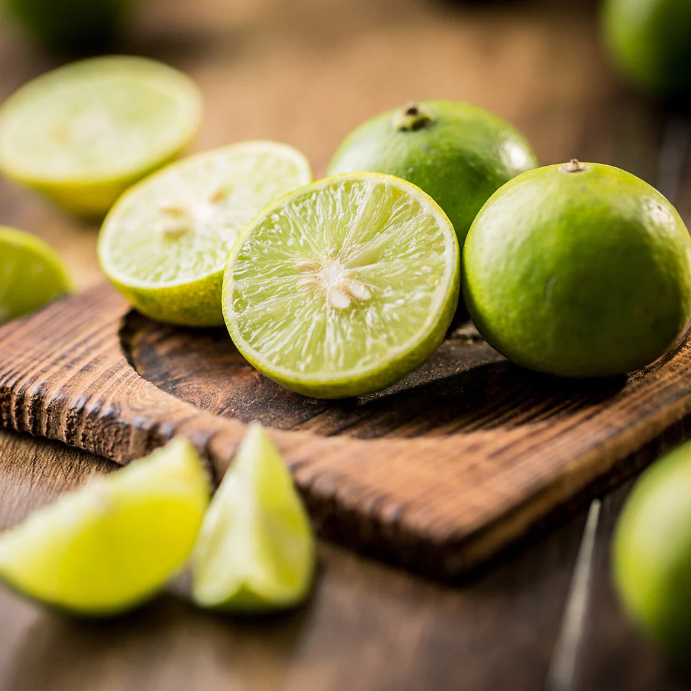 Key Lime Tree - FastGrowingTrees