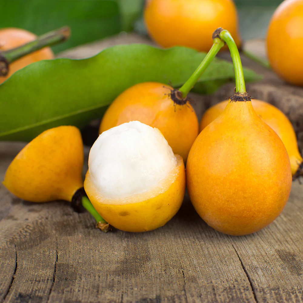 Achacha Fruit Tree - FastGrowingTrees